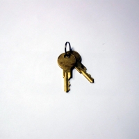 Gilbarco K83512-25 Key GBCO Encore 500 (F28)